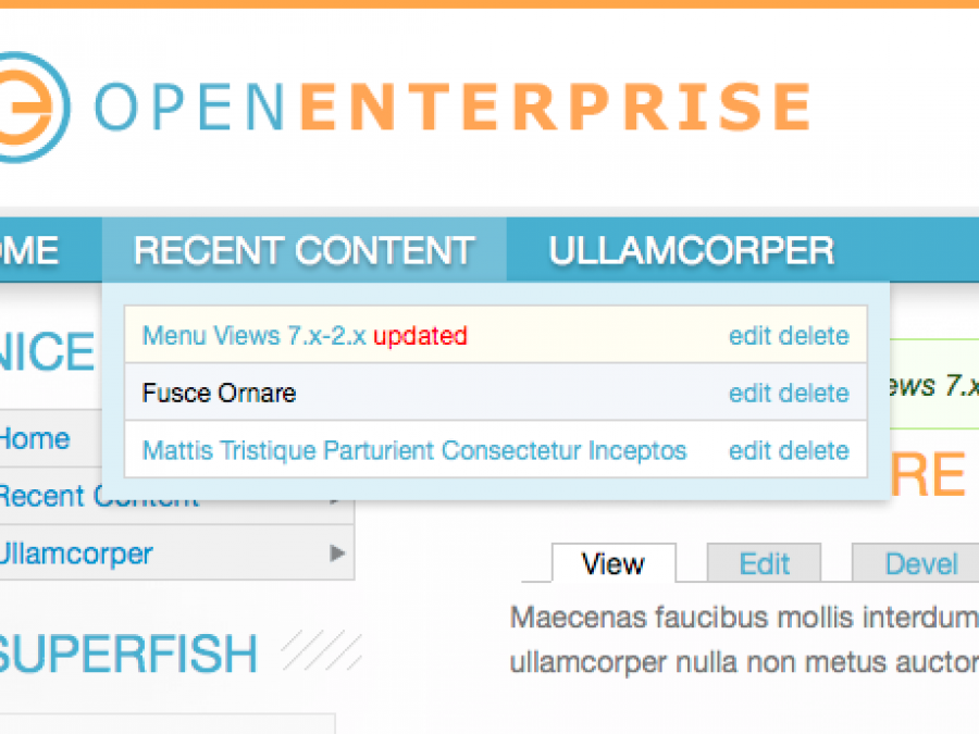 Improving Menu Views in Drupal 7 to Create Mega Menus More Efficiently | LevelTen Interactive